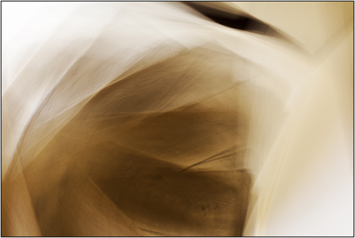 The Amber Sill – On this short day of frost and Sun